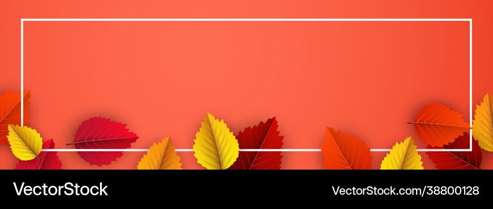 Autumn horizontal banner with colorful birch Vector Image