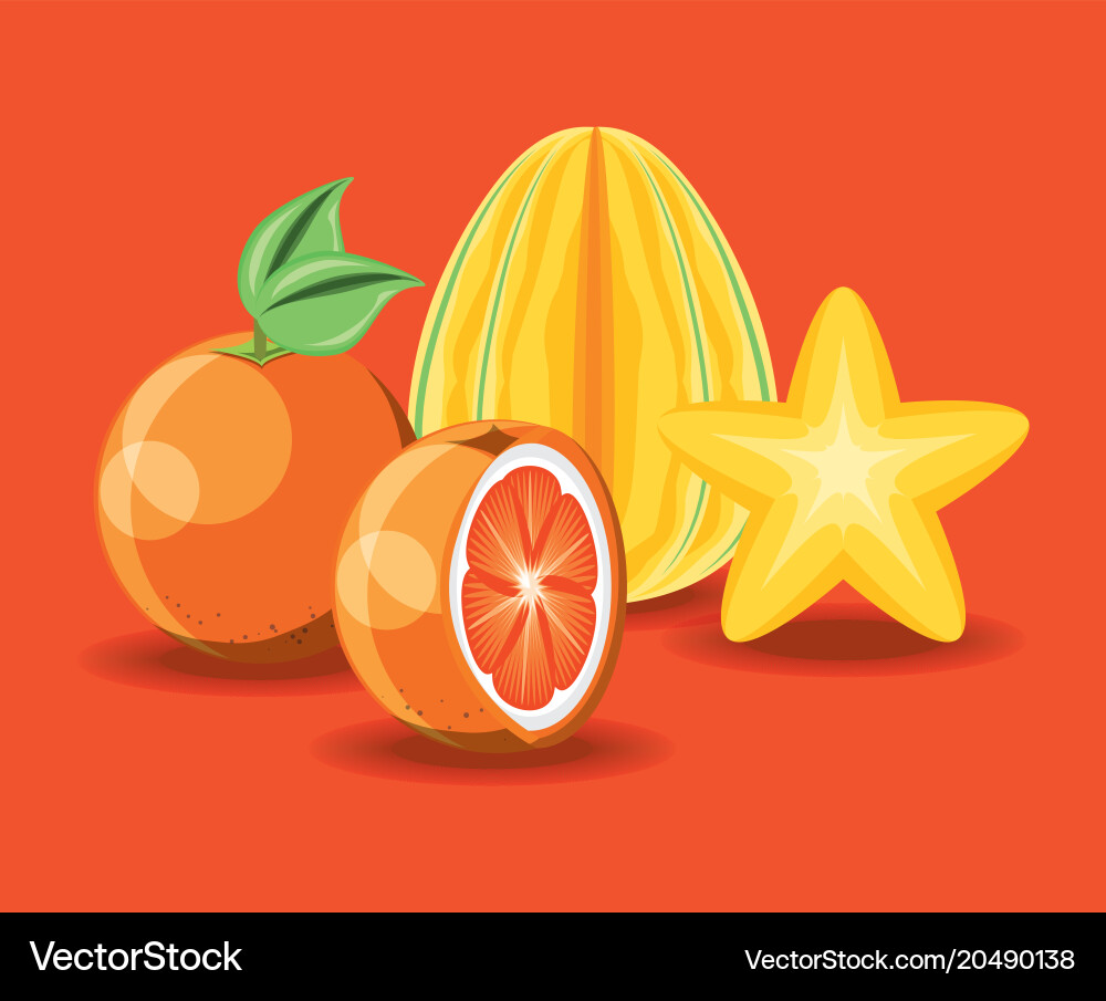 Citric fruits design Royalty Free Vector Image