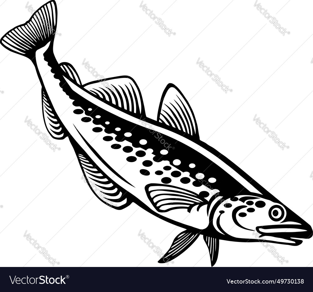 Cod - american fishes - logo fish Royalty Free Vector Image
