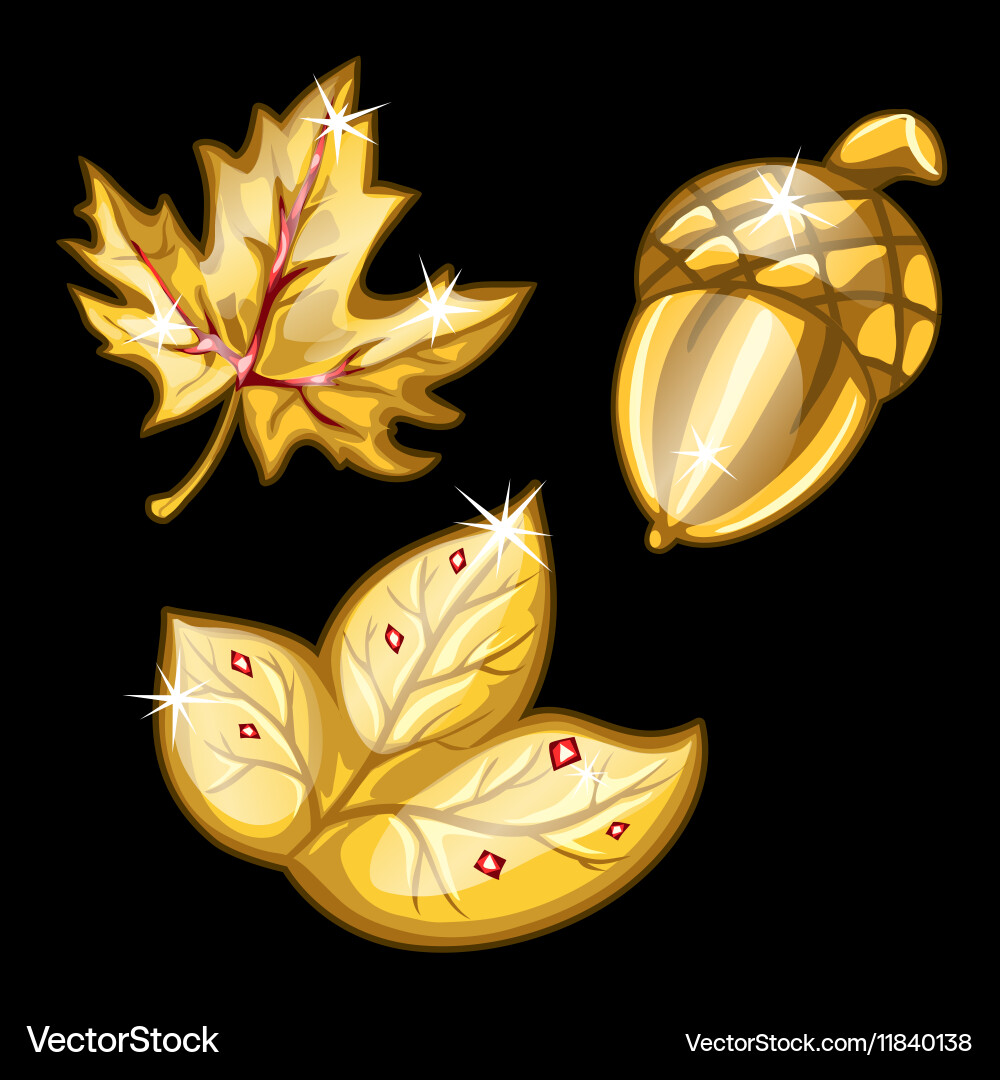 Two leaf and acorn made gold set Royalty Free Vector Image