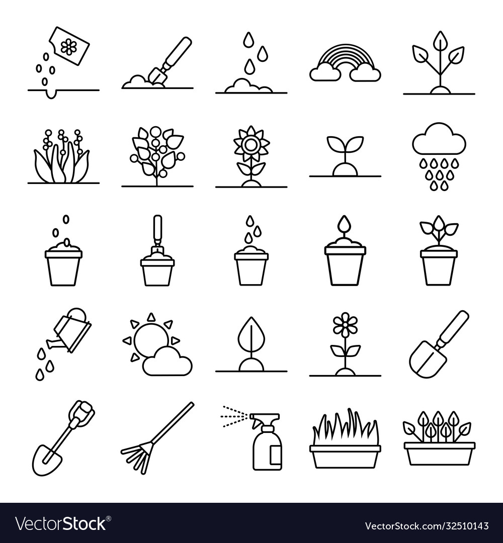 Bundle plant growth line style Royalty Free Vector Image