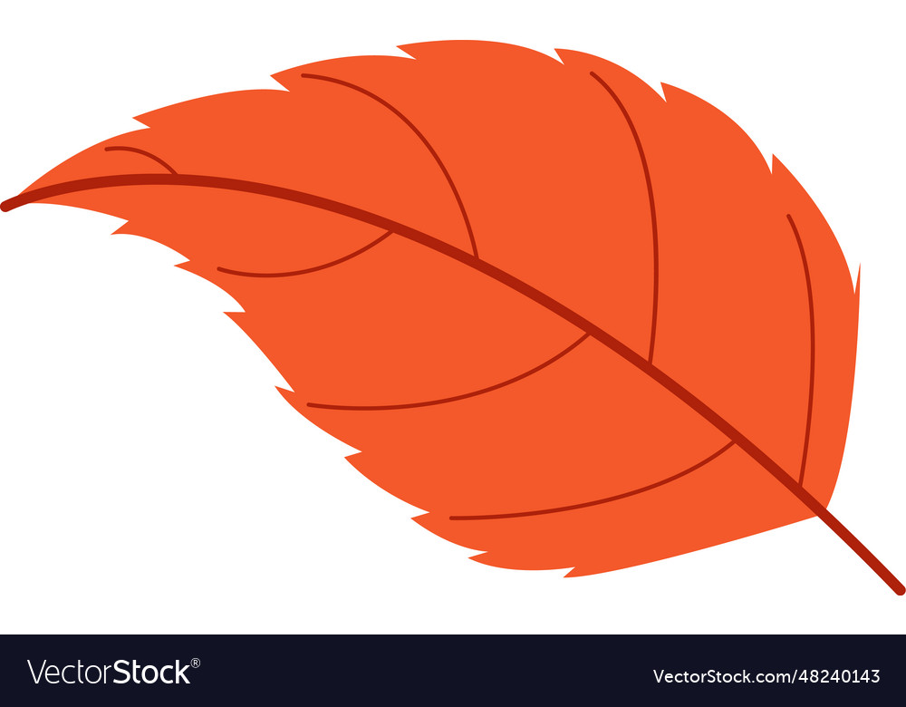 Tree leaf icon Royalty Free Vector Image - VectorStock