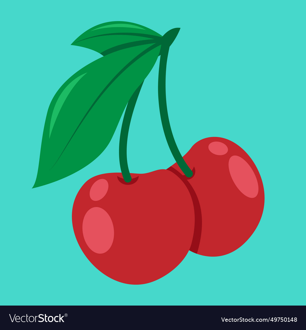 Cherry Royalty Free Vector Image - VectorStock