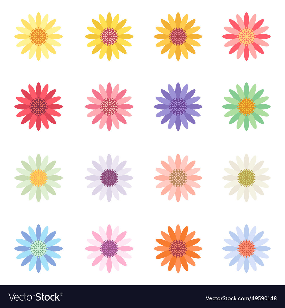 Daisy Royalty Free Vector Image - VectorStock