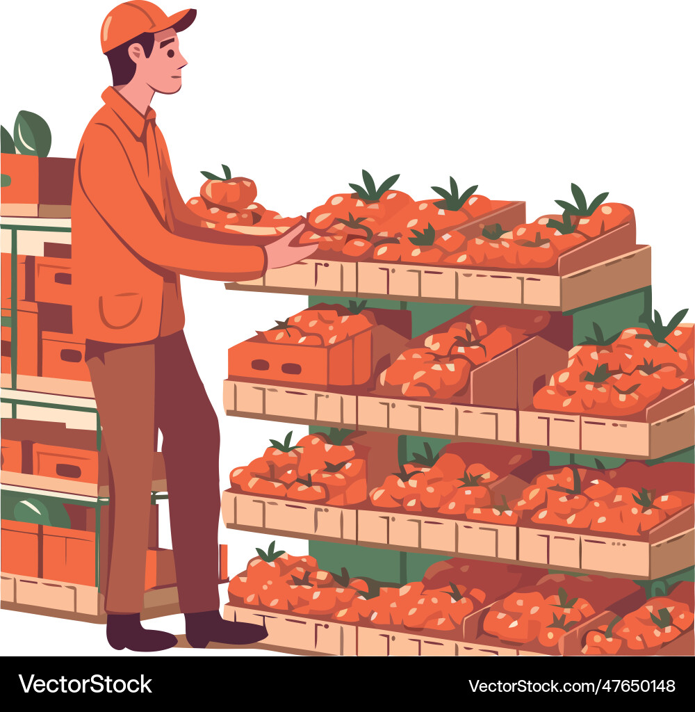 One farmer smiling holding fresh organic produce Vector Image