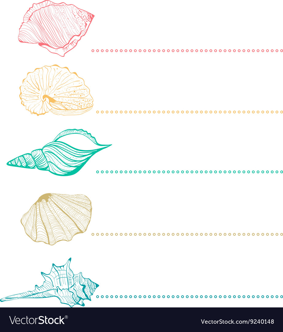 Set seashells Royalty Free Vector Image - VectorStock