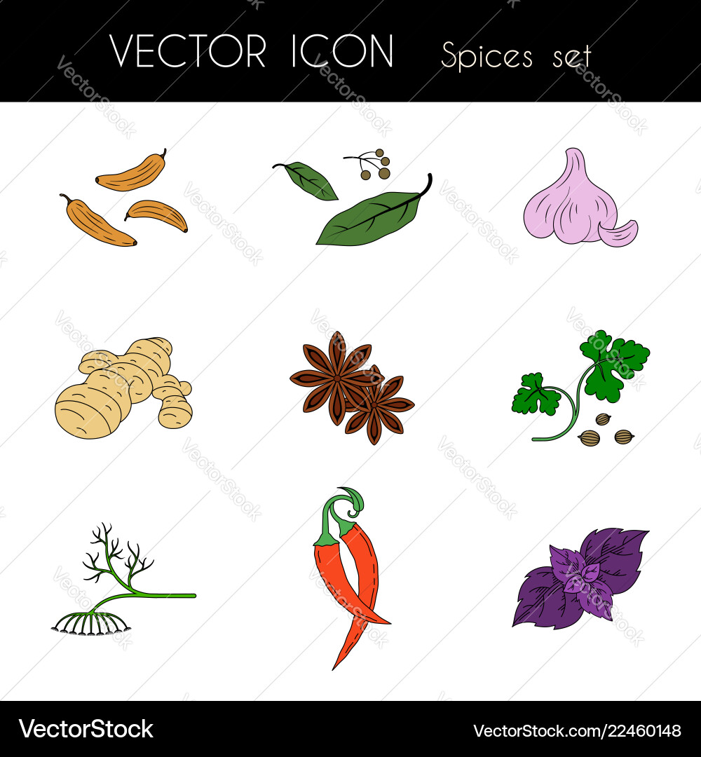 Spices set of colored icons Royalty Free Vector Image