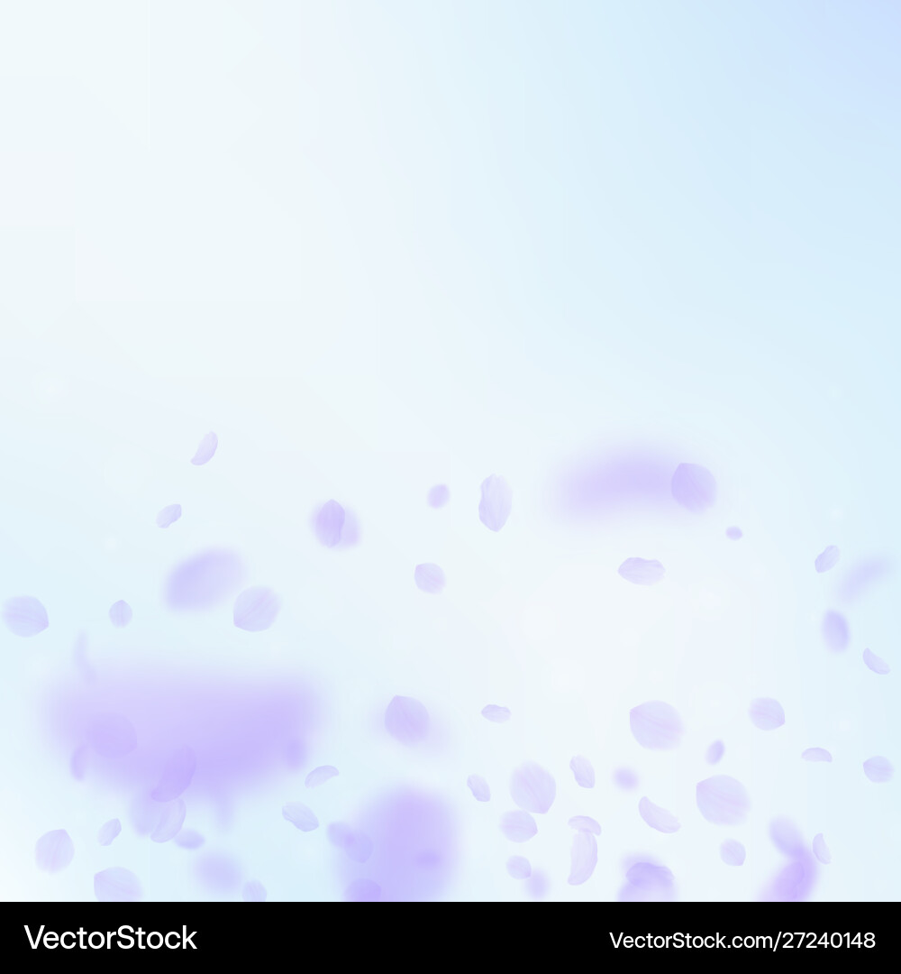 Violet flower petals falling down beautiful roman Vector Image