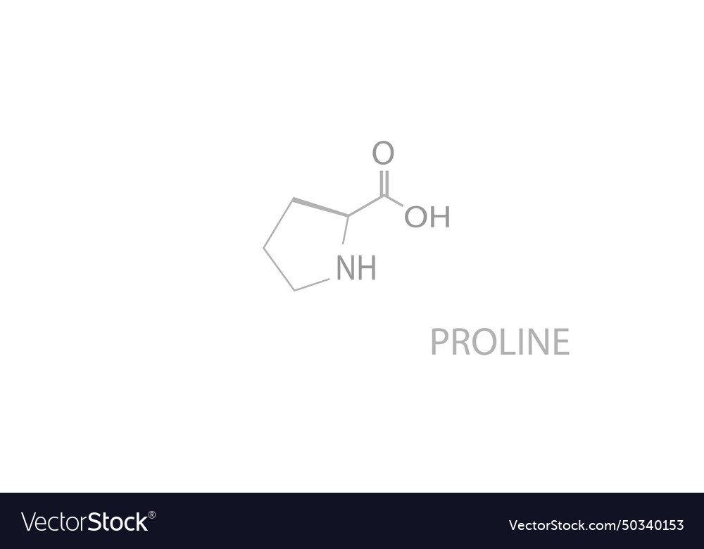 Proline Molecular Skeletal Chemical Formula Vector Image