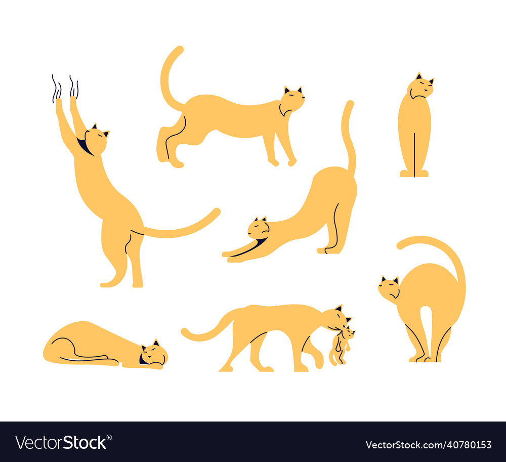 Set of funny cats isolated on white Royalty Free Vector