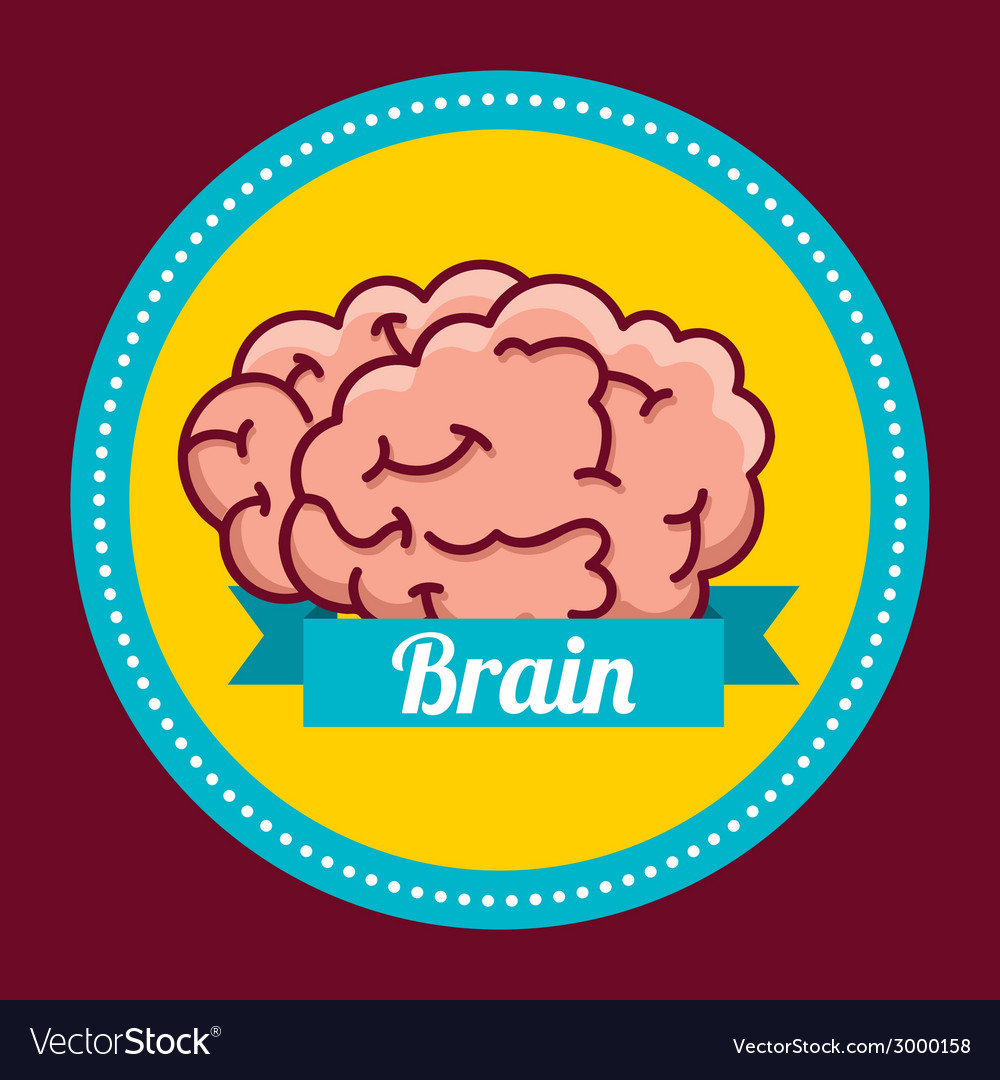 Brain design Royalty Free Vector Image - VectorStock