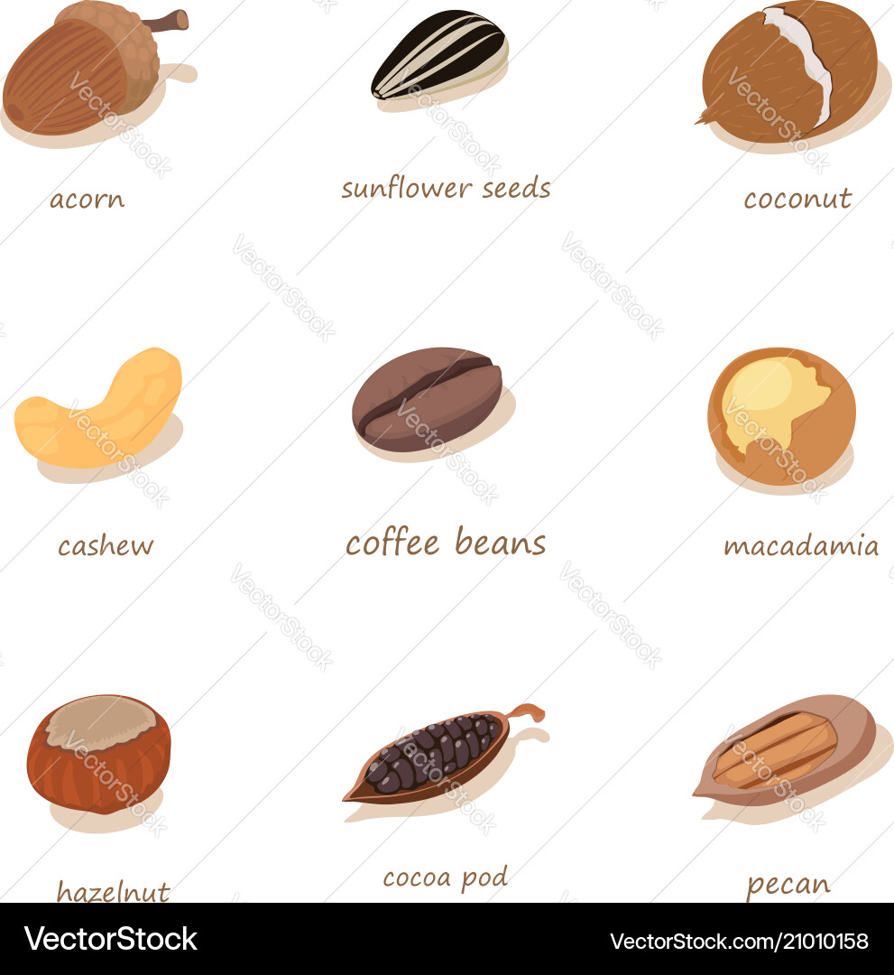 Hazel icons set cartoon style Royalty Free Vector Image