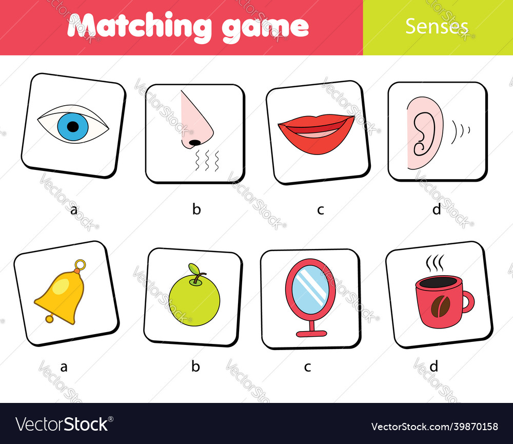 Matching children educational game match objects Vector Image