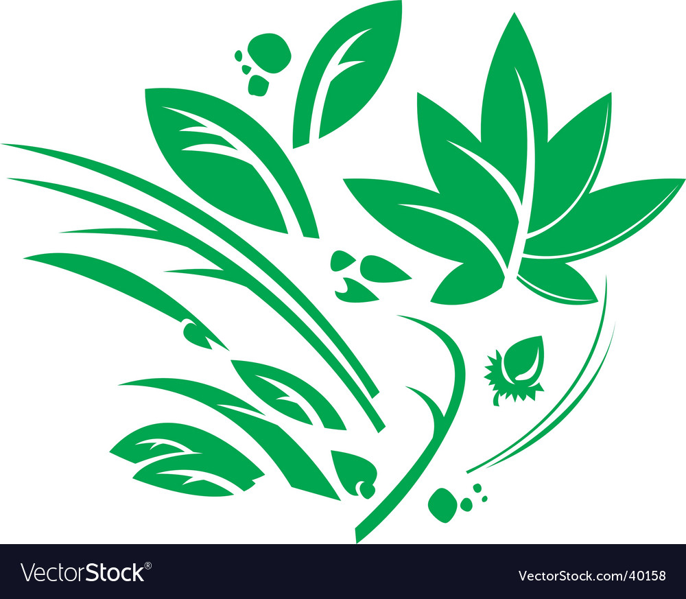 Nature elements Royalty Free Vector Image - VectorStock