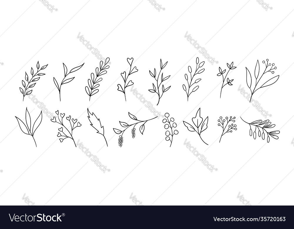 Hand drawn floral elements ink doodle Royalty Free Vector