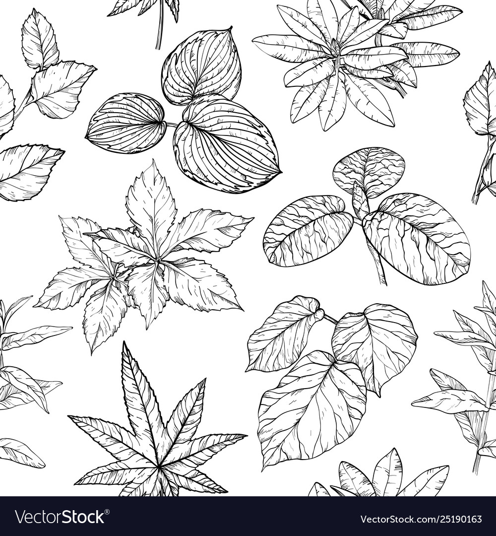 Seamless pattern with branches and leaves hand Vector Image