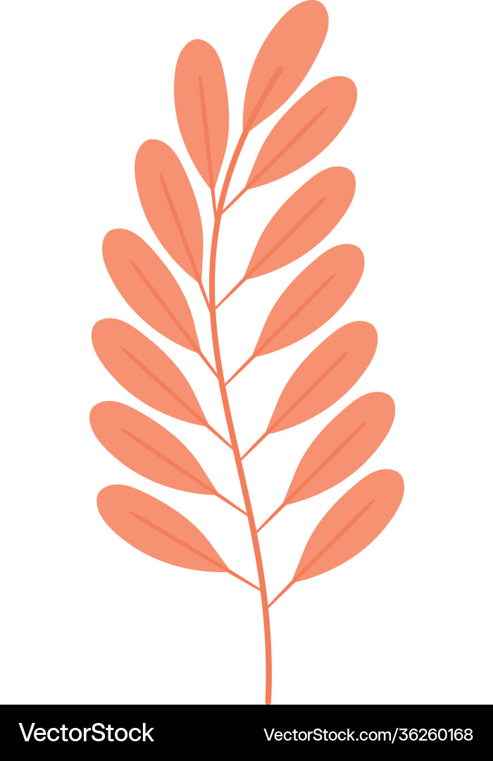 Plant with orange leaves in sides Royalty Free Vector Image