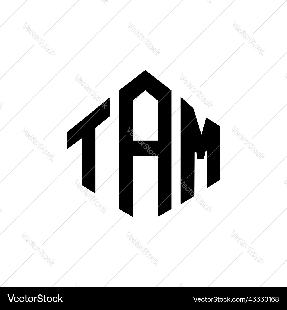 Tam letter logo design with polygon shape Vector Image