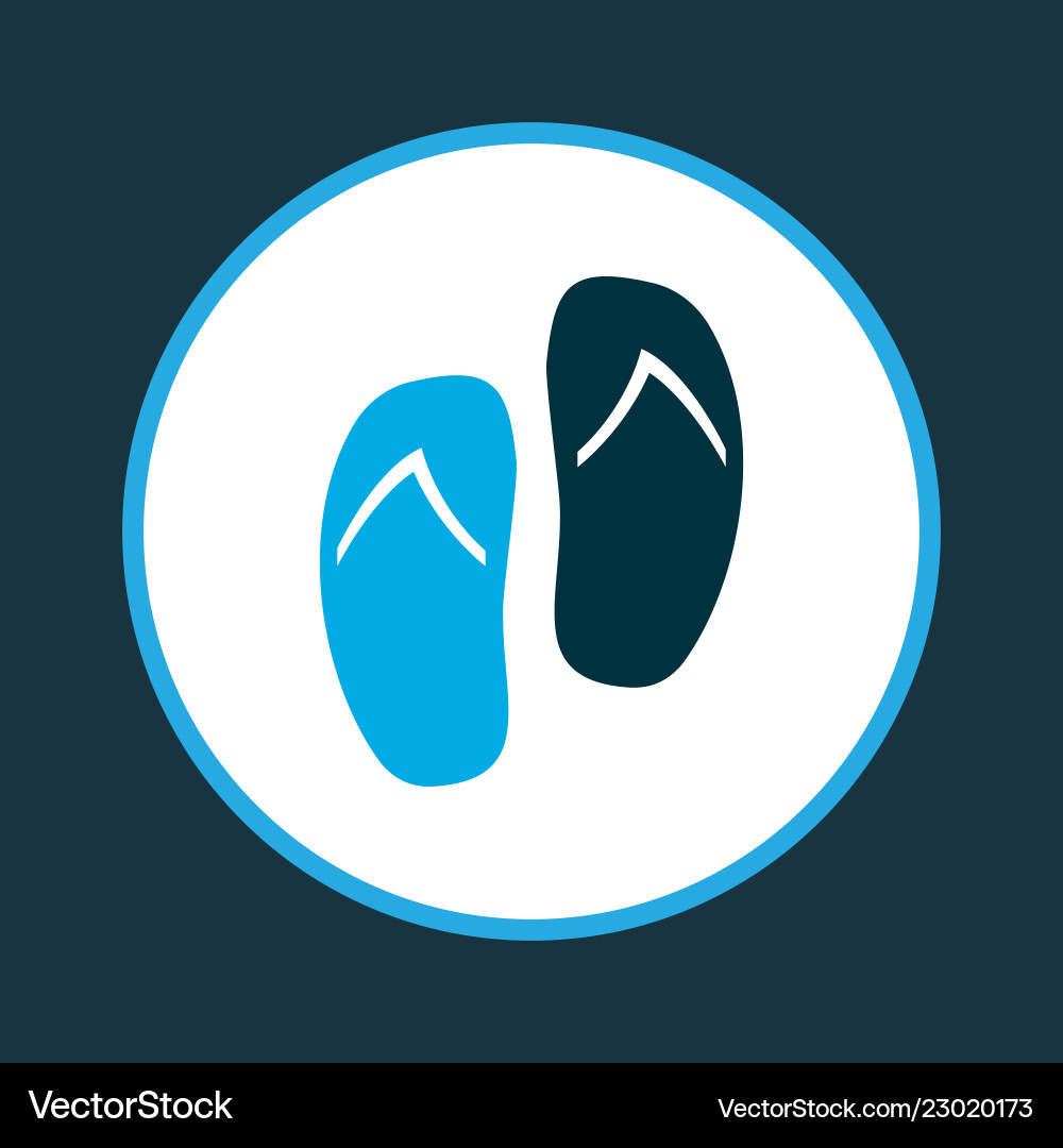 Beach sandals icon colored symbol premium quality Vector Image
