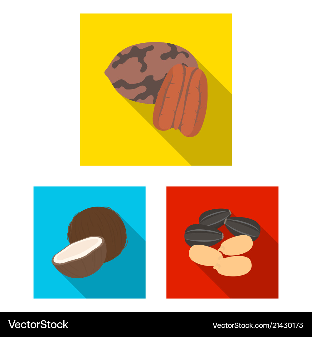 Different kinds of nuts flat icons in set Vector Image
