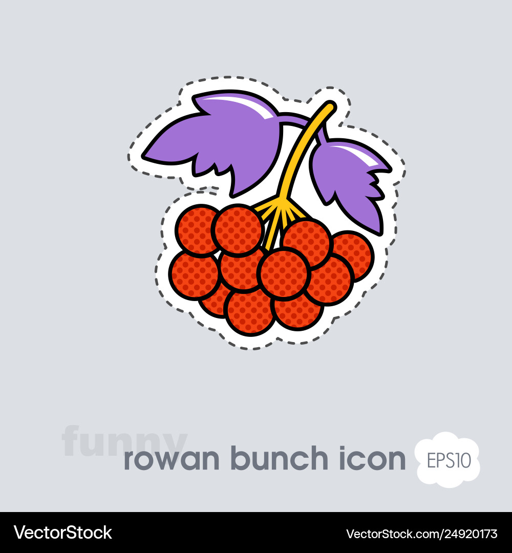 Rowan branch icon berry fruit sign Royalty Free Vector Image
