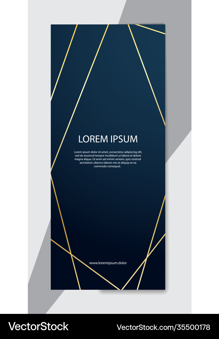 Banner with geometric shapes color for printed Vector Image