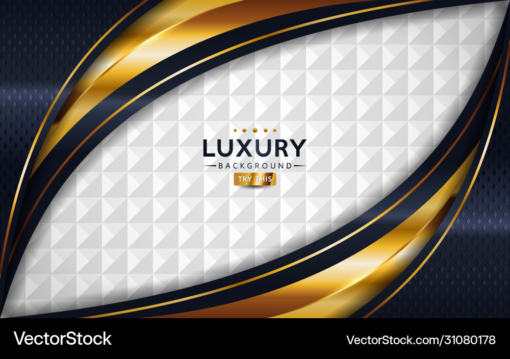 Dark navy and textured white luxury abstract Vector Image