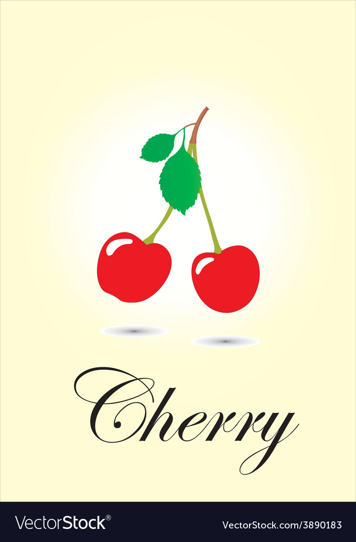Cherry Royalty Free Vector Image - VectorStock