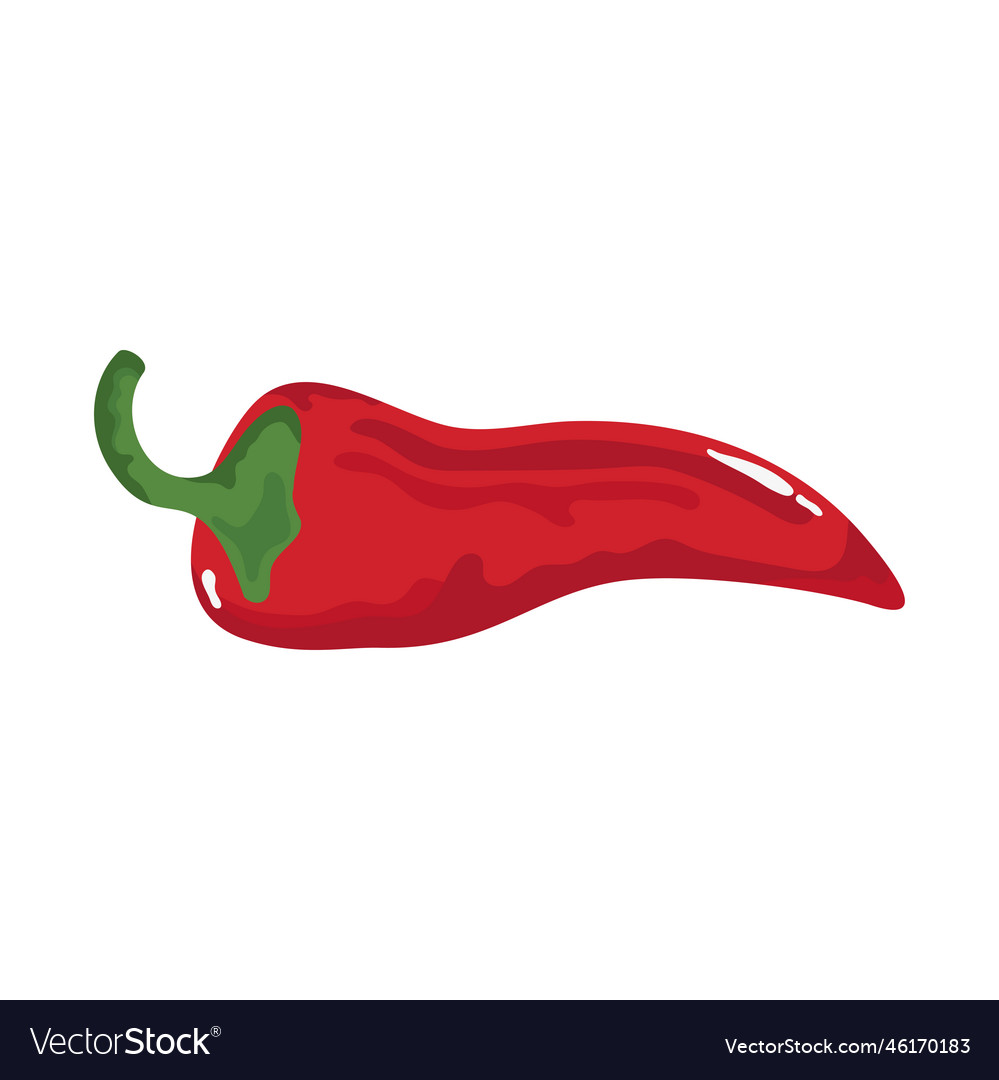 Red chilli pepper Royalty Free Vector Image - VectorStock