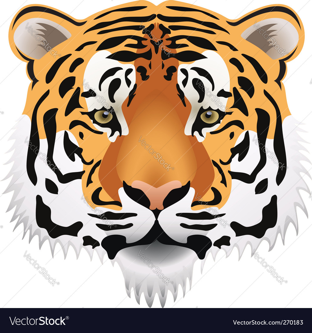 Tiger head Royalty Free Vector Image - VectorStock