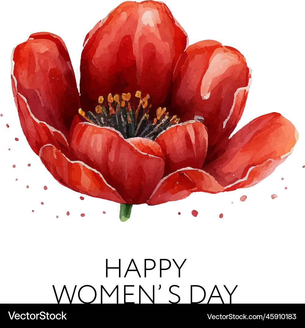 Womens day watercolor spring red tulips set Vector Image