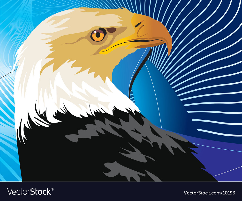 Eagle graphic Royalty Free Vector Image - VectorStock