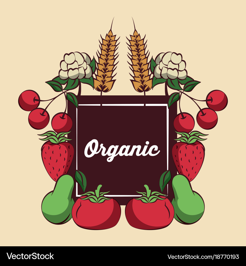 Fresh organic vegetables Royalty Free Vector Image