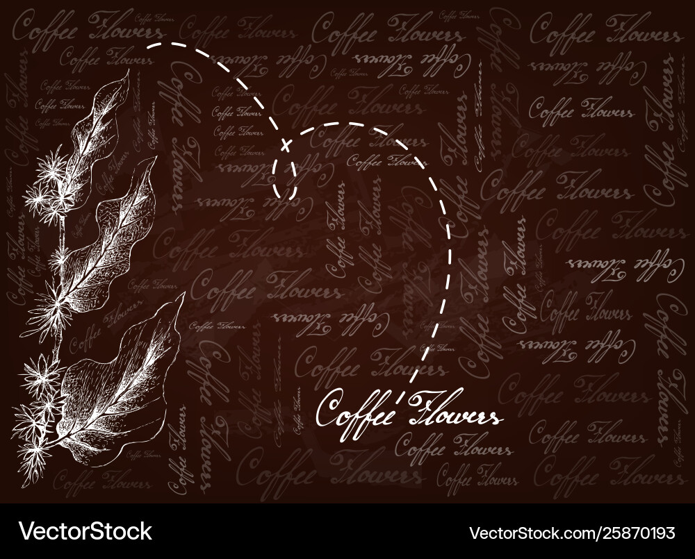 Hand drawn coffee flowers on brown background Vector Image