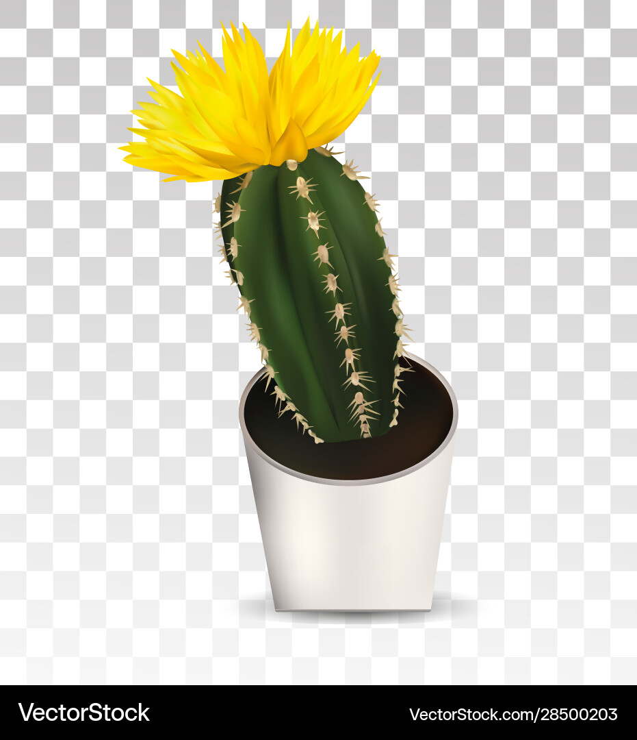 3d realistic cactus with yellow flower decorative Vector Image