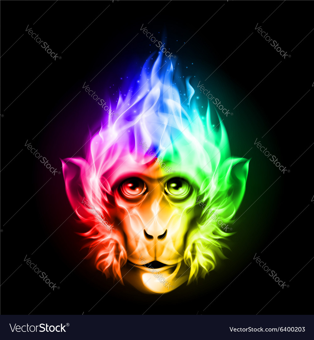 Monkey fire head Royalty Free Vector Image - VectorStock