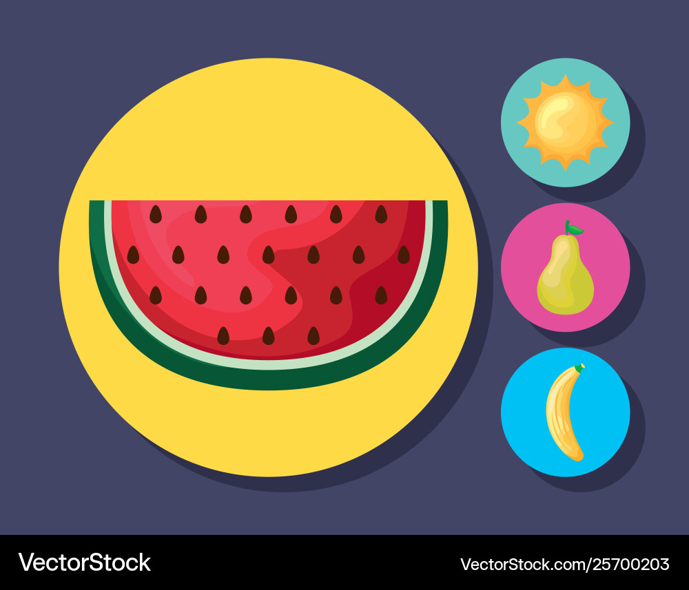 Set watermelon with sun and fruits Royalty Free Vector Image