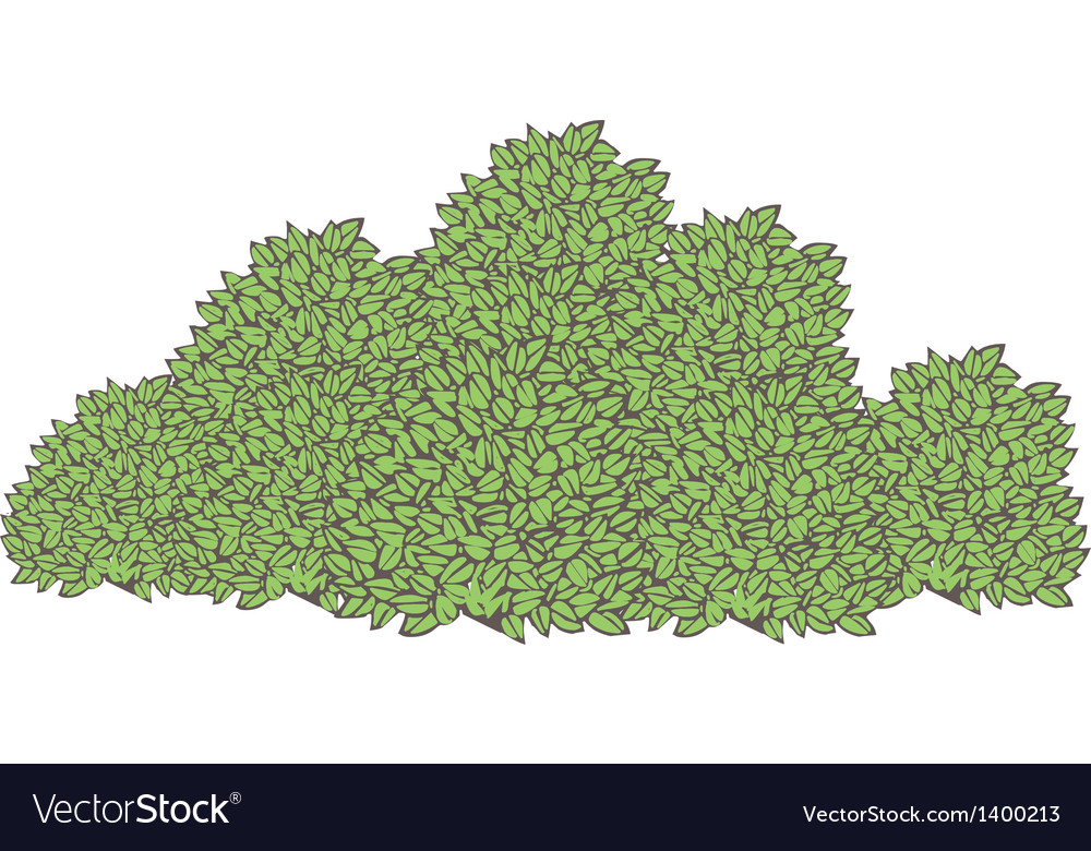 Bush Royalty Free Vector Image - VectorStock