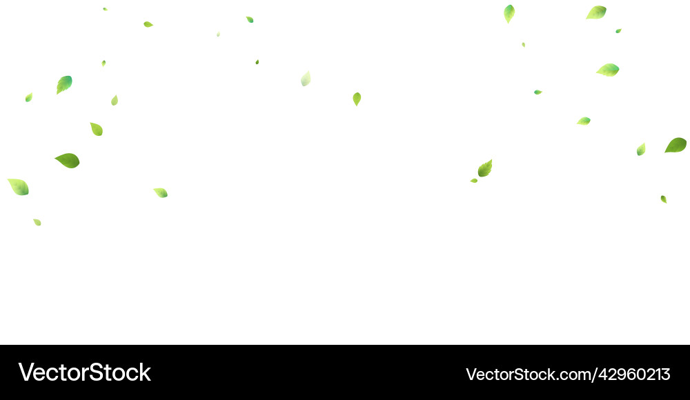 Leaves green falling flying foliage leaf tea mint Vector Image