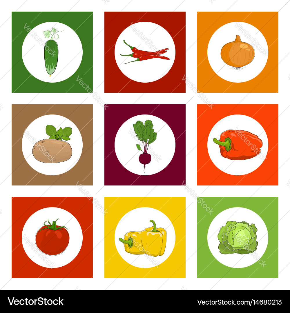 Round icons vegetables on colorful background Vector Image