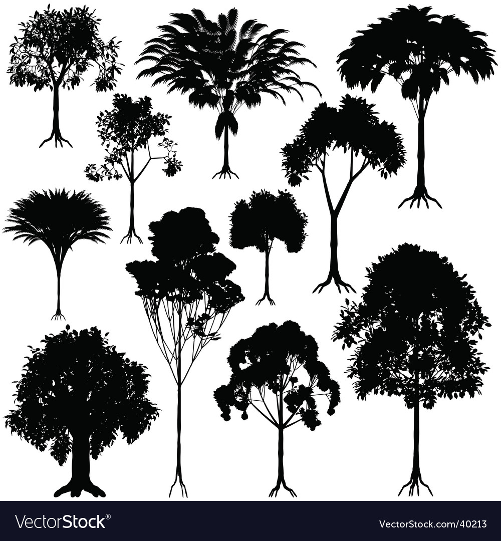 Tree outlines Royalty Free Vector Image - VectorStock