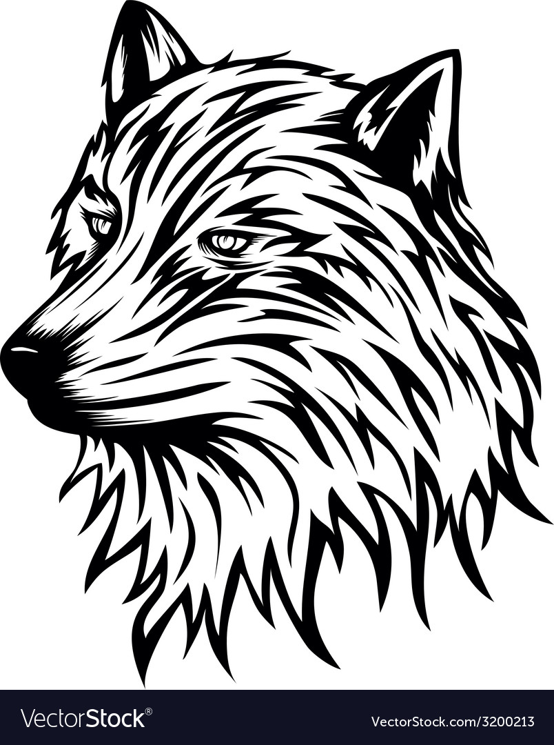 Wolf head Royalty Free Vector Image - VectorStock