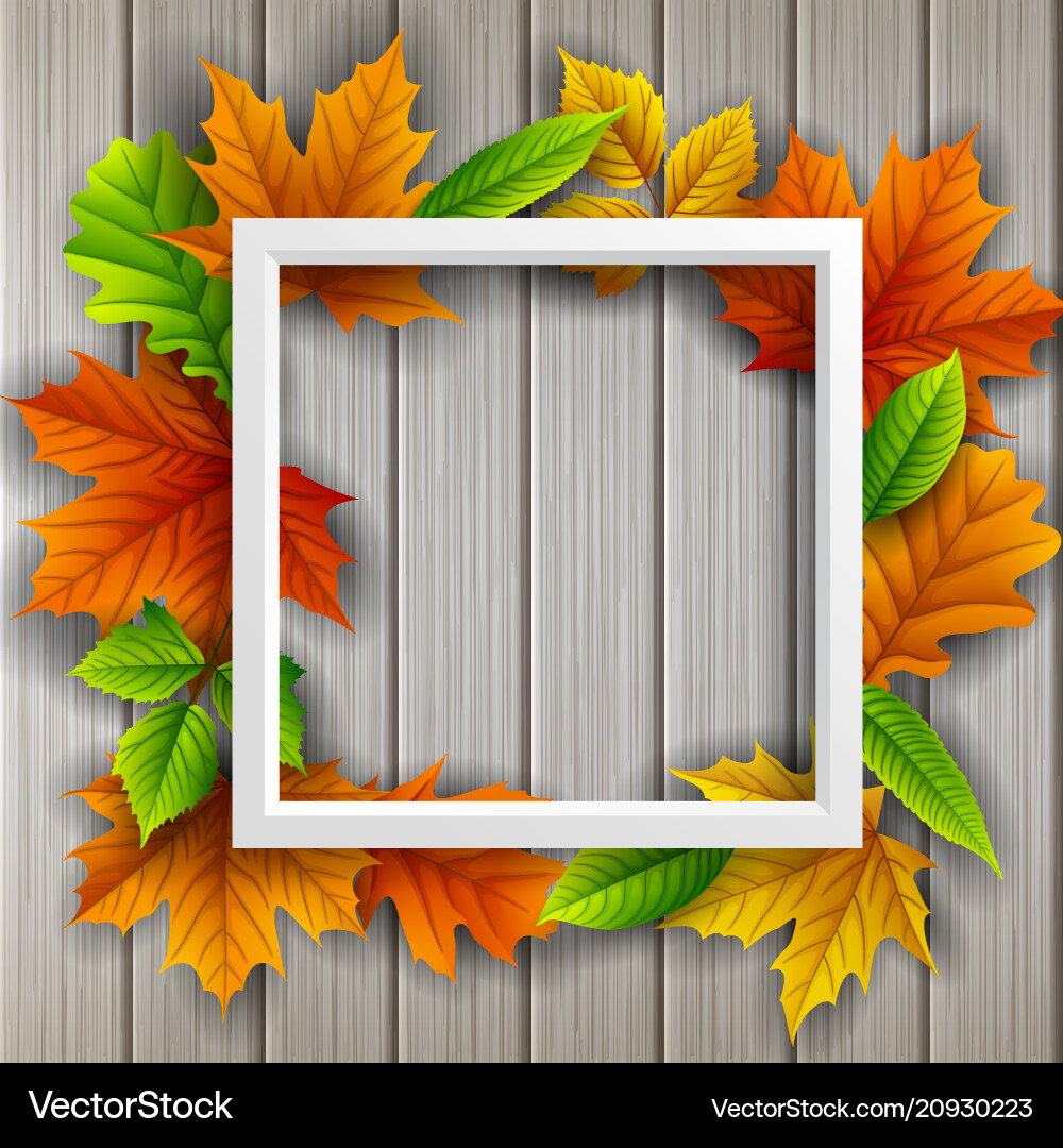 Box frame autumn leaves wood background Royalty Free Vector