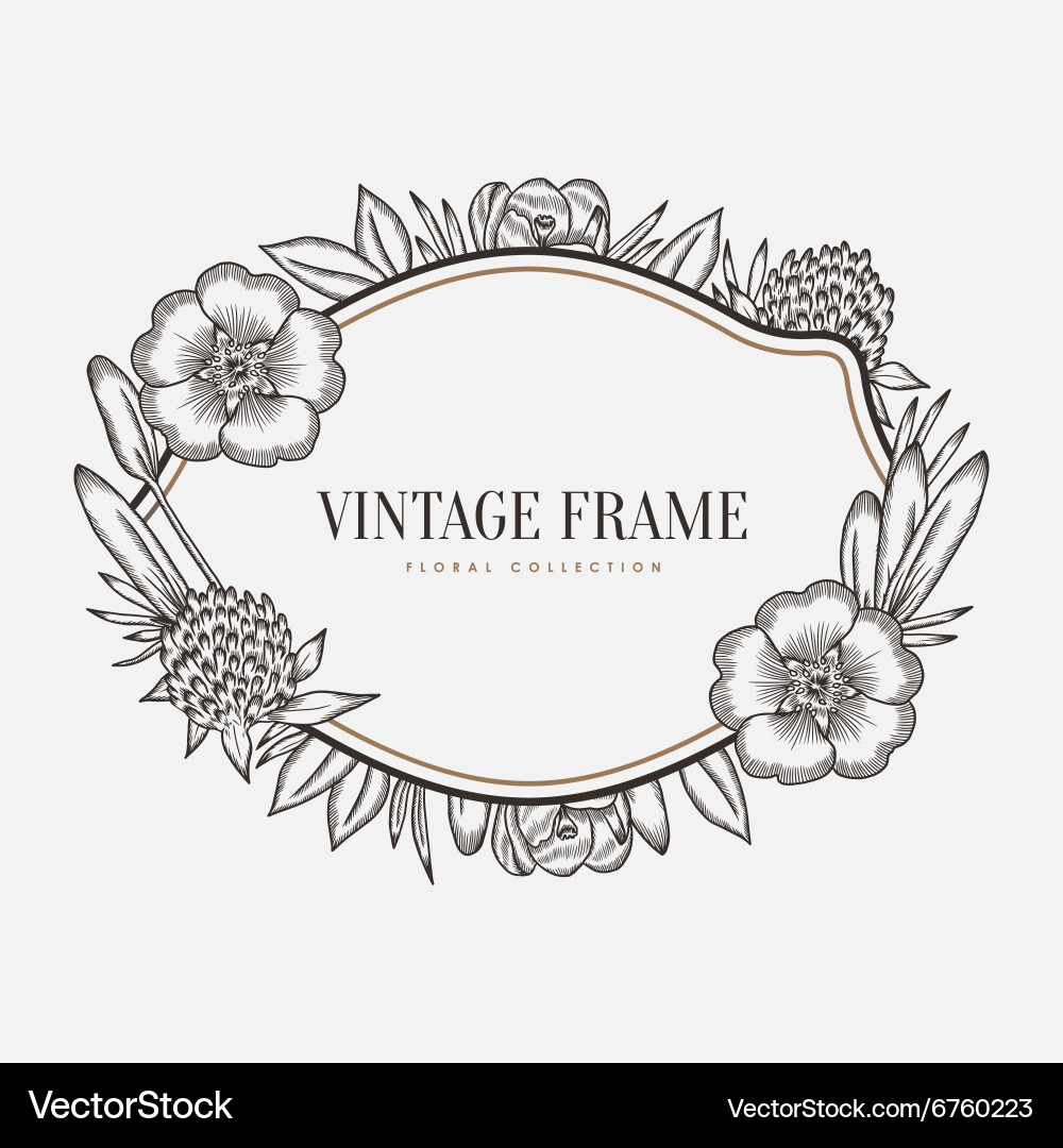 Floral vintage frame retro style graphic Vector Image