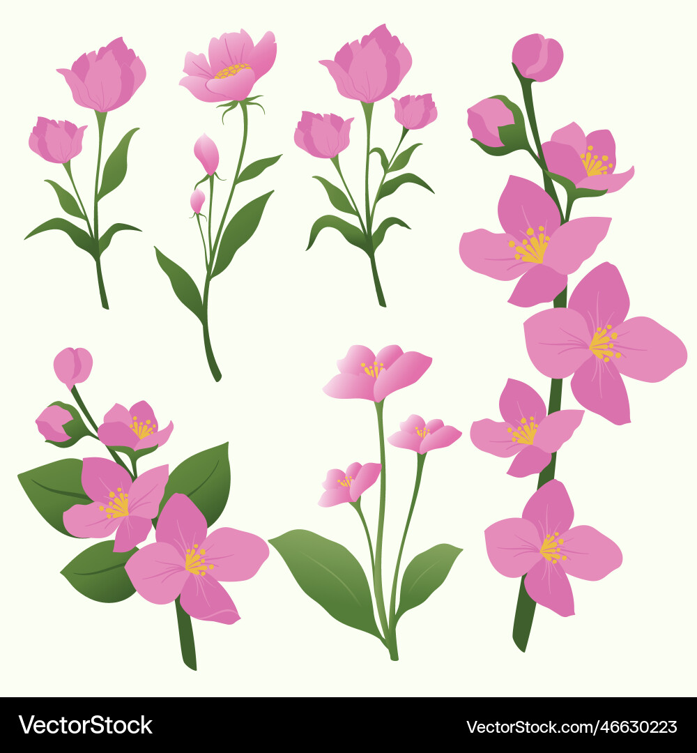 Pink and green flower collection Royalty Free Vector Image