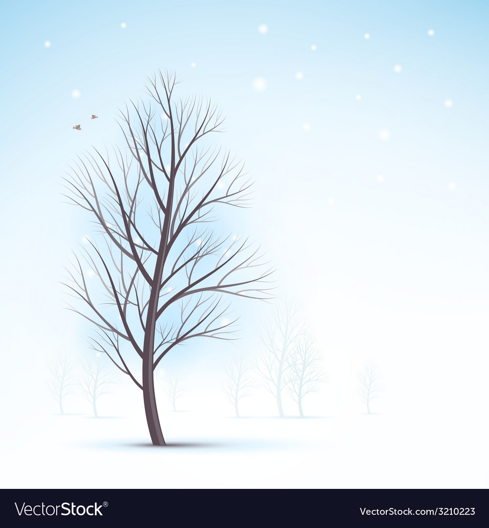 Winter tree Royalty Free Vector Image - VectorStock