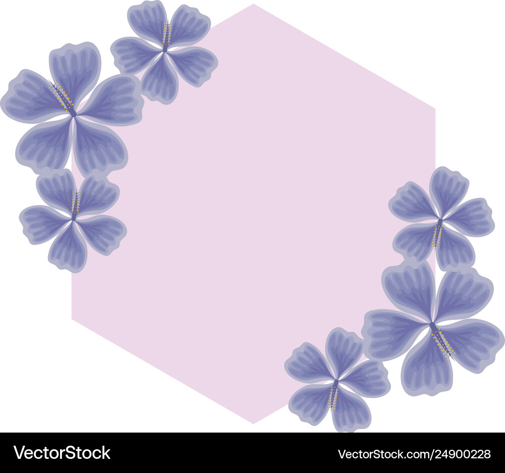 Frame with beautiful flowers nature Royalty Free Vector