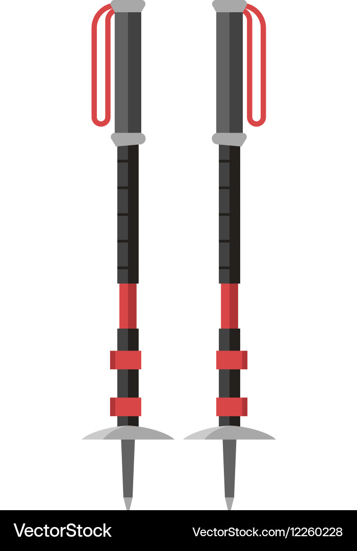 Winter trekking poles Royalty Free Vector Image