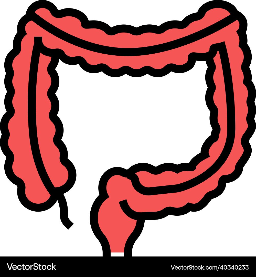 Colon human organ color icon Royalty Free Vector Image