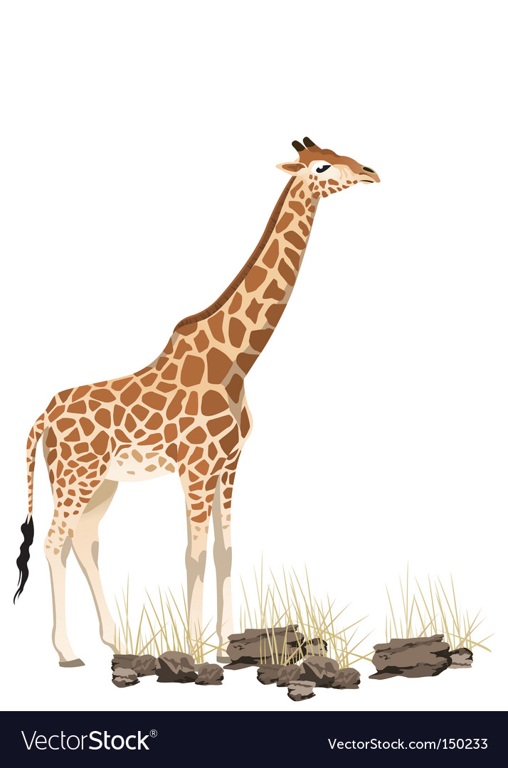 Giraffe Royalty Free Vector Image - VectorStock